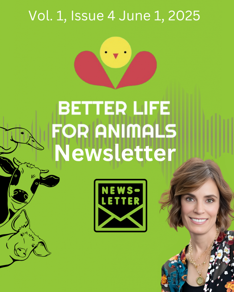 Newsletter - Better Life for Animals