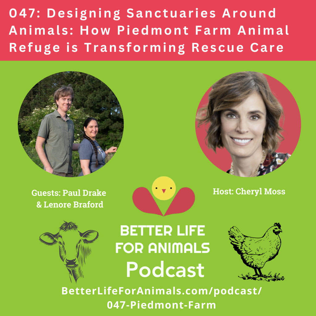 047: Designing Sanctuaries Around Animals: How Piedmont Farm Animal ...