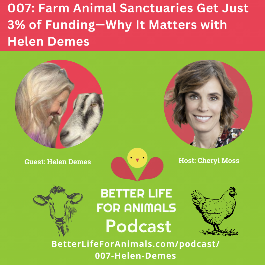 007: Farm Animal Sanctuaries Get Just 3% of Funding—Why It Matters with ...