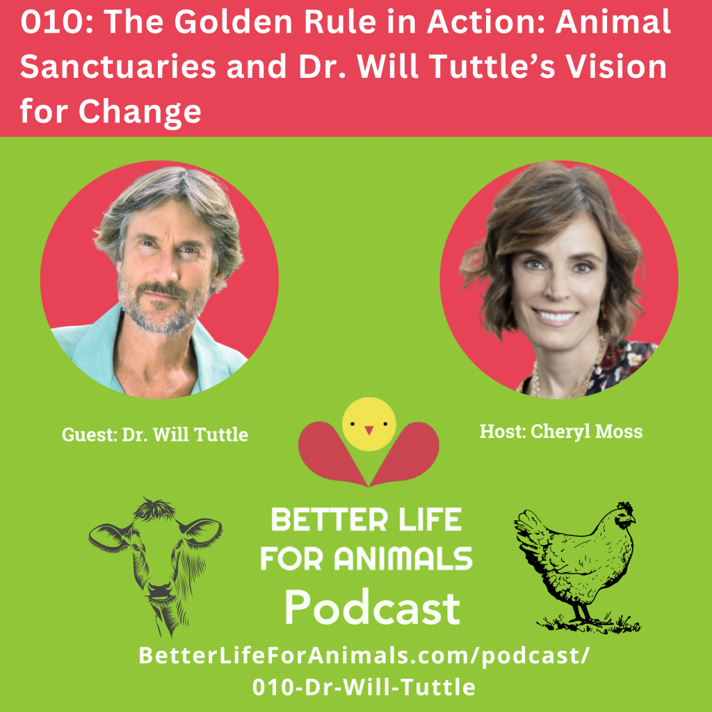 010: The Golden Rule in Action: Animal Sanctuaries and Dr. Will Tuttle ...