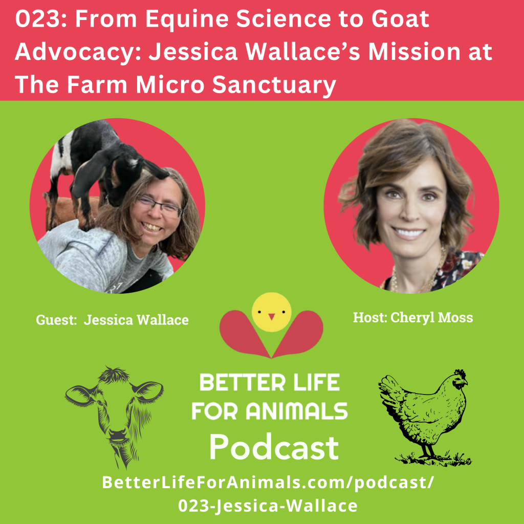 023: From Equine Science to Goat Advocacy: Jessica Wallace’s Mission at ...