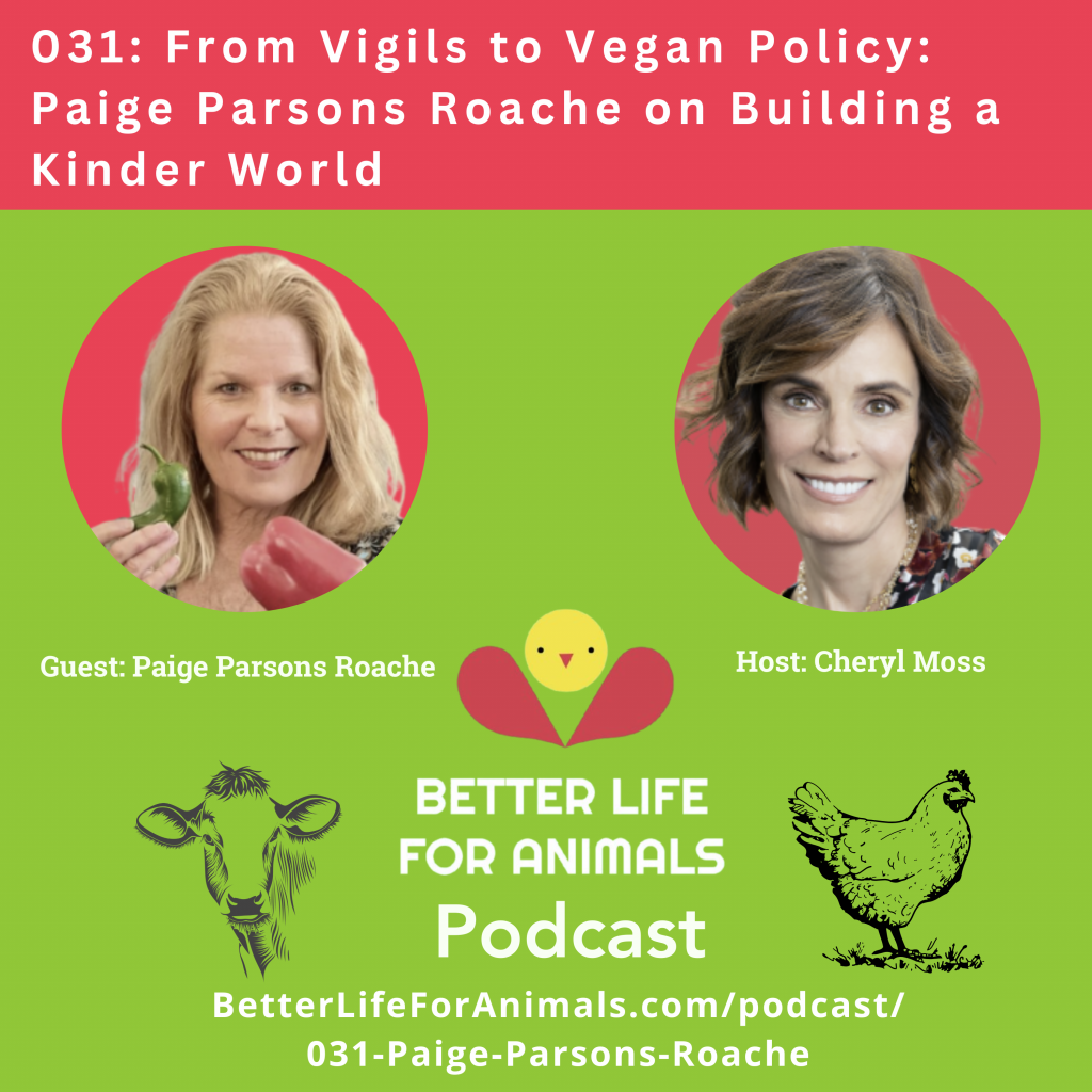 From Vigils to Vegan Policy: Building a Kinder World