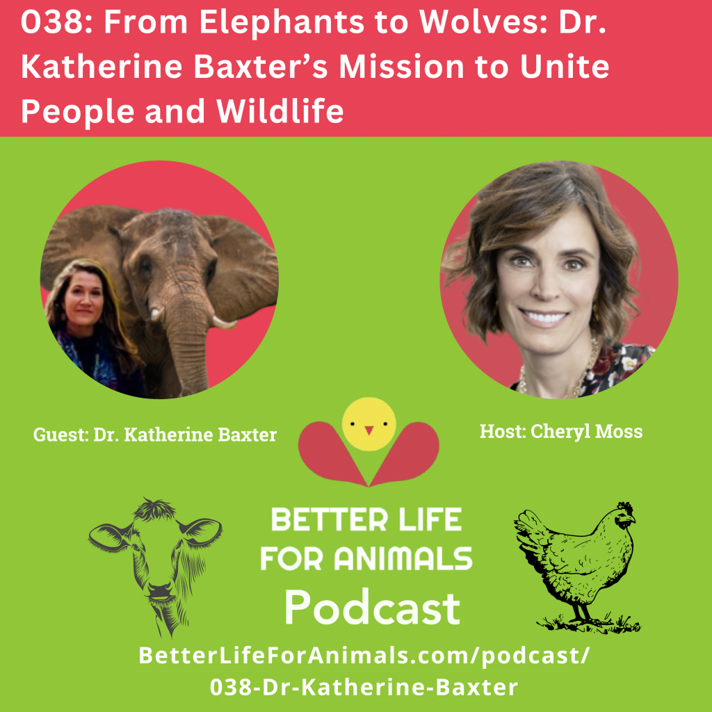 Elephants, Wolves, and the Challenge of Coexistence