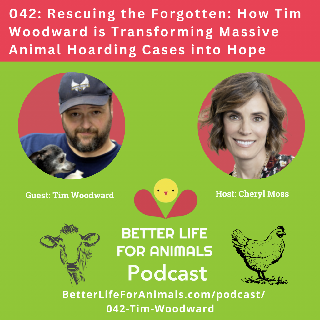 Transforming Massive Animal Hoarding Cases into Hope