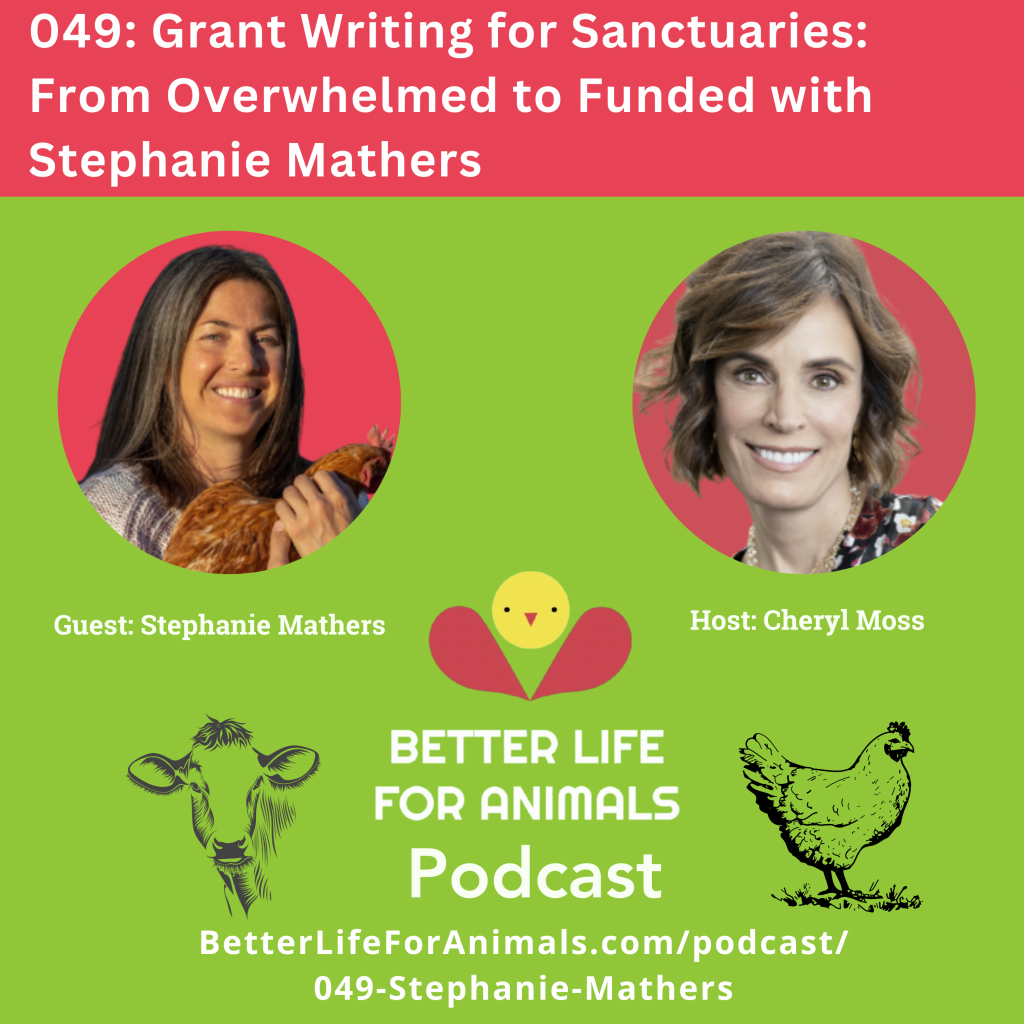 Grant Writing for Animal Sanctuaries